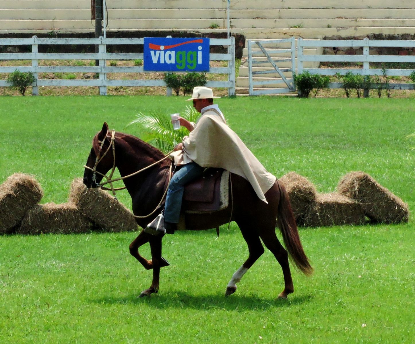 Asociación Rural del Paraguay - Asociación Rural del Paraguay